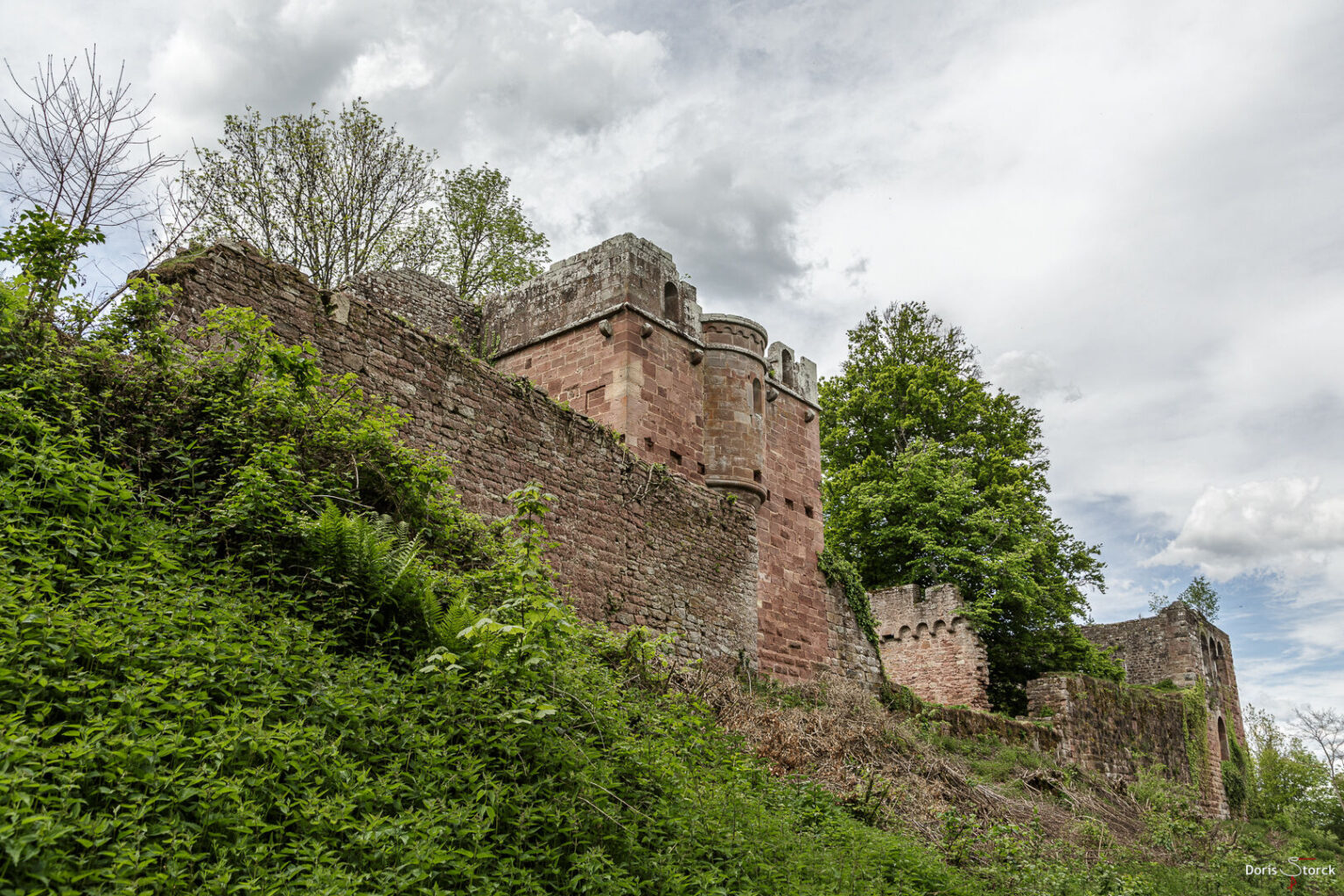 Burg Wildenberg - Doris Storck Fotografie